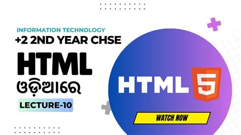 Checkbox Radiobutton Fileupload And Button Control In Html ରେ କାମ କଣ