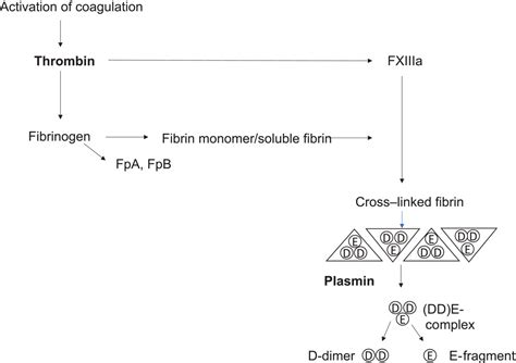 Unveiling The Diagnostic Enigma Of D‐dimer Testing In Cancer Patients