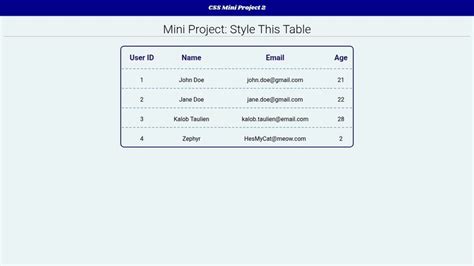 Css Mini Project 2