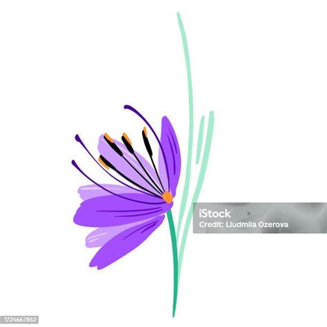 아름 다운 라일락 색 글라디올러스 꽃 구성과 같은 장식을 위한 벡터 간단한 밝은 색상의 식물 그룹입니다 꽃 요소 계절에 대한 스톡 벡터 아트 및 기타 이미지 Istock