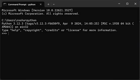 Install Python On Windows In A Specific Directory