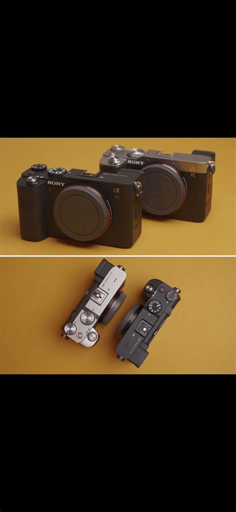 SONY A7C: Silver or black? I can’t decide!!! : r/SonyAlpha
