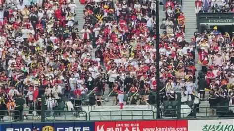 강렬한 태양도 우린 막지 못한다👍👍👍기아타이거즈 원정응원단 멋집니다 👍👍👍 Youtube