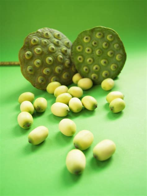 무료 이미지 그룹 화이트 과일 단 잎 씨 일주 호수 외딴 강 아시아 사람 식품 녹색 성분 생기게 하다 야채 수확고 열렬한 자연스러운