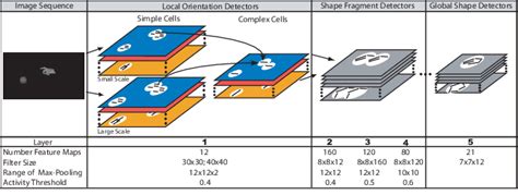 Overview Of The Shape Recognition Hierarchy Download Scientific Diagram