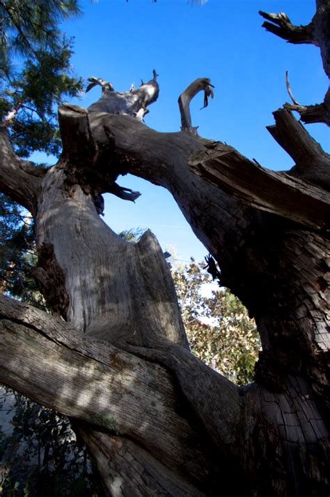 CLosing The Loop Free Photos On Creazilla Com CLosing The Loop Free Photos On Creazilla Com