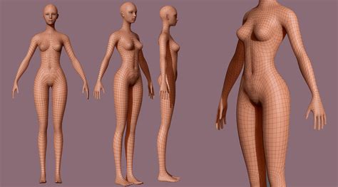 D D Base Mesh Female With Retopology And UV Mapping Model TurboSquid