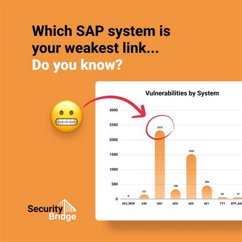 The Leading Sap Security Platform Securitybridge Securitybridge