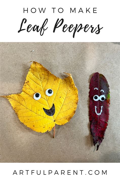 Leaf Peeper Khám Phá Hoạt Động Ngắm Lá Mùa Thu