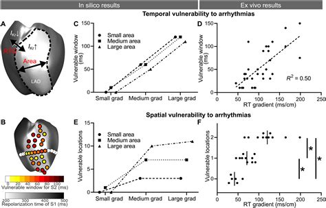 Noninvasive Detection Of Spatiotemporal Activation Repolarization Interactions That Prime