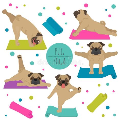 Poses E Exerc Cios Dos C Es Da Ioga Clipart Do Pug Ilustra O Do Vetor Ilustra O De
