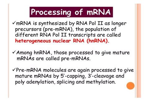 Rna Processing Post Transcriptional Modifications Splicing Capping