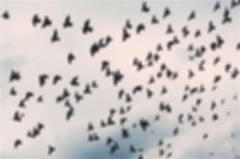 Blur Images Online