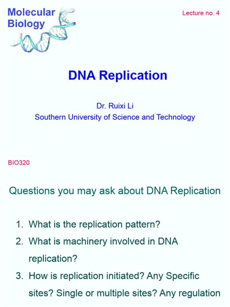 lecture 4 dna replication 3 pdf dna replication dna