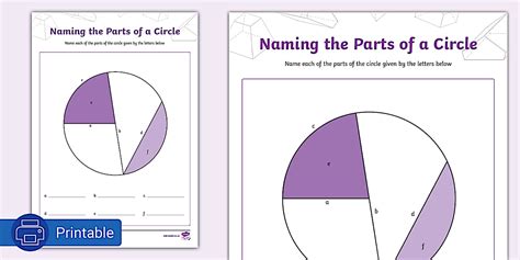 Circle Parts Activity Sheet For Grade 7 Teacher Made