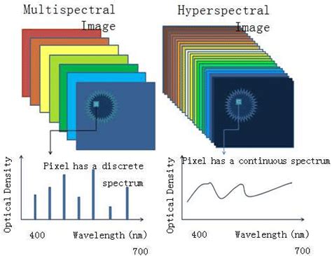 Comparison Between Multispectral Imaging And Hyperspectral Imaging Download Scientific Diagram