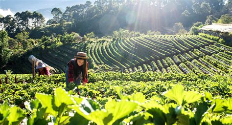 계절근로자통합관리시스템 나누미 소개
