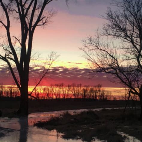 Sydney Flaherty University Of Wisconsin Milwaukee Wisconsin Uwm