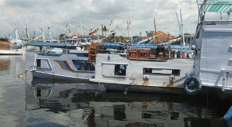 5 Moored Prau At The Paotere Boat Harbour Makassar Source Marshall Clark Download Scientific