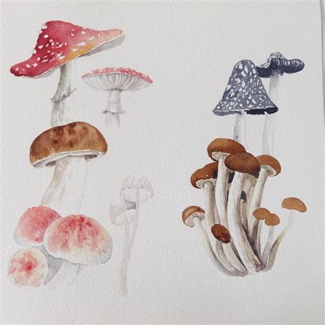 버섯돌이들 더우니 그림이 안그려진다 ㅠㅠ 수채화 수채화그림 수채화그리기 수채화일러스트 그림 그리고봄 그림그리기 그림스타그램 일러스트