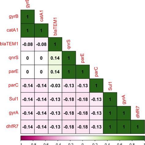 Corrplot Correlations Between First Line And Second Line Download Scientific Diagram