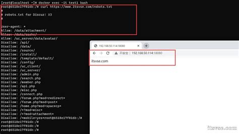 实战禁止 Docker 容器访问互联网外网 技术杂谈 架构师 程序员 码农网