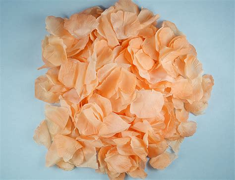 Wedding Silk Flower Petals