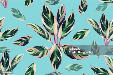 수채화 그림 다채로운 열대 녹색 잎 원활한 패턴 배경 수채화 손으로 그린 일러스트 트로피아 이국적인 잎 인쇄 벽지 직물 하와이 알로하 여름 스타일 0명에 대한 스톡 벡터