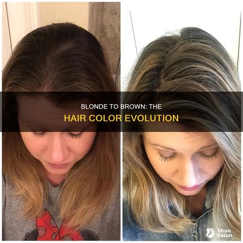 Blonde To Brown The Hair Color Evolution Shunsalon
