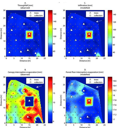 13 Spatial Variability Of Canopy Interception Observed And Forest Download Scientific