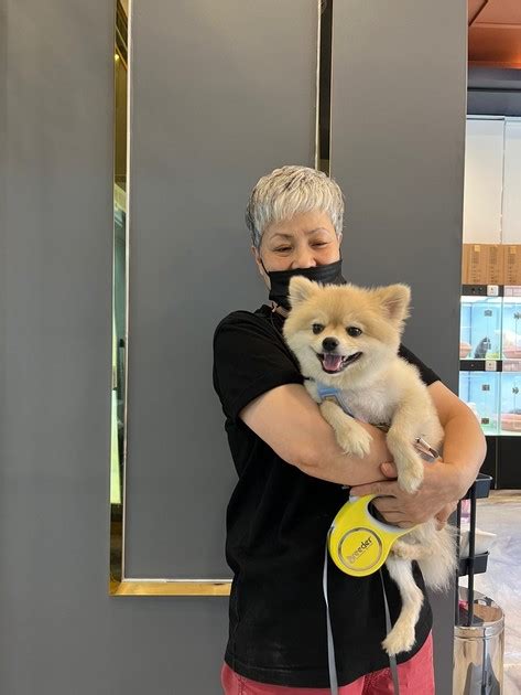 천안 2022 0073 포메라니안 리치 책임분양 렉돌분양가격 브리숏분양가격 브리티시숏헤어분양가격 러블분양가격 티컵비숑프리제분양 티컵포메라니안분양 티컵말티즈분양 티컵말티푸