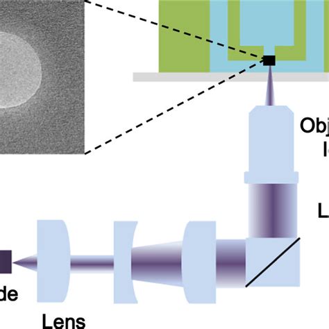 Schematic Illustration Of The Nanopore Irradiation Process A Typical Download Scientific