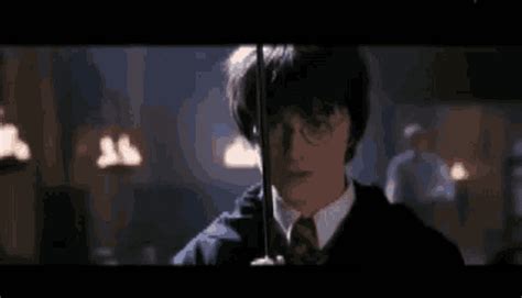 Harry Potter Wizard  Harry Potter Wizard Hogwarts Descubre E