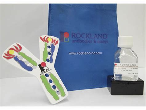 Ripa Lysis Buffer Recipe Besto Blog