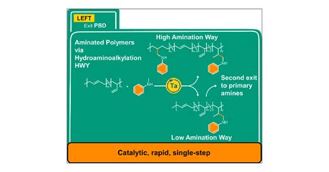 Amine Functionalized Polybutadiene Synthesis By Tunable Postpolymerization Hydroaminoalkylation