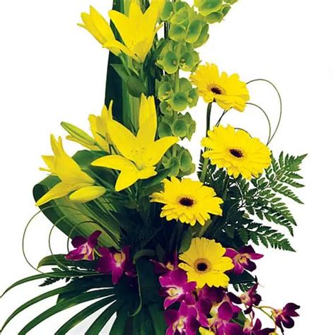 Seduction Orchids Flowersales