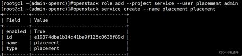 安装 配置 验证placement linux中安装openstack placement api csdn博客