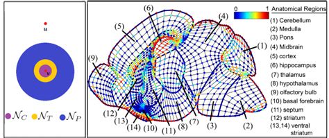 Left Illustration Of Mutual Saliency Definition For Points V In Image