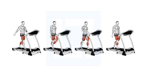 Weighted Squat Guide Benefits And Form