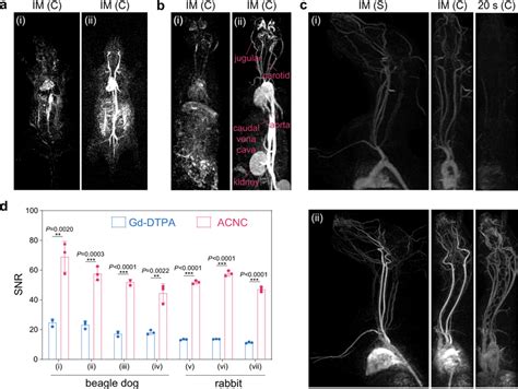 In Vivo Mr Angiography A B Contrast Enhanced Mr Angiography Mra