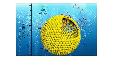 Construction Of A P N Co Doped Nanocarbon Embedded G C3n4 Hollow Sphere Nanoreactor For The