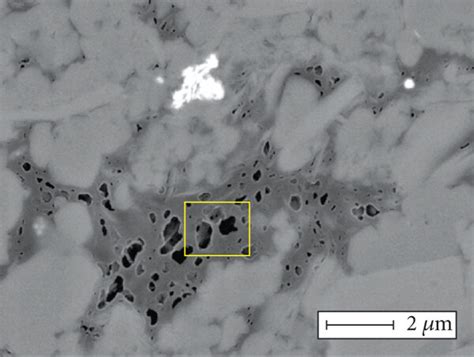 Characteristics Of The Pyrobitumen Pores Based On 2d Fib Sem Data A Download Scientific