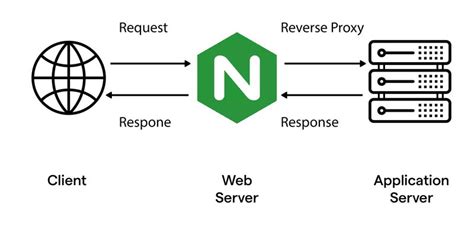 Nginx Là Gì Web Server đa Năng Cho Các Hệ Thống Lớn 200lab Blog