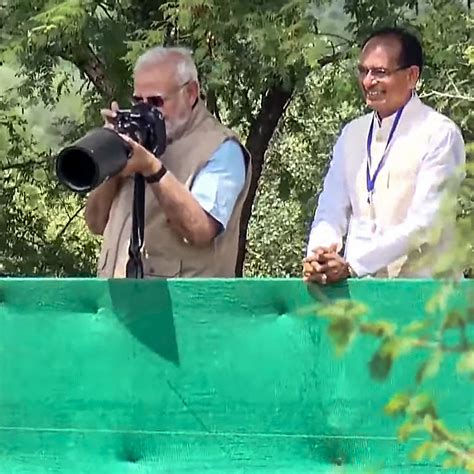 Kuno National Park में रिलीज किए गए चीते Pm मोदी ने कैमरे से खींचे Photos News Aajtak