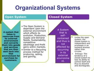 Organizational Environment Theory PPTX