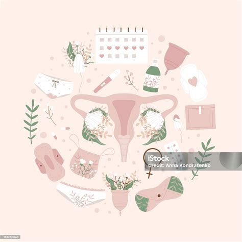 생리 기간 세트 폐기물 제로 등 다양한 여성 위생 제품 여성 팬티 탐폰 패드 달력 컵 흰색 배경에 격리 된 플랫 만화 벡터 일러스트레이션 꽃 식물에 대한 스톡 벡터 아트 및