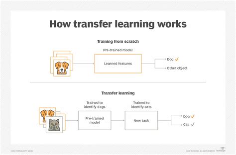 What Is Transfer Learning Faster Smarter Learning For Ai Techovedas