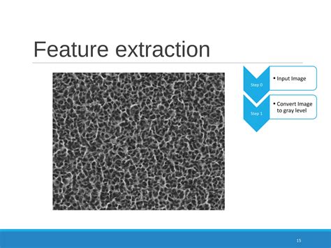 Multi Scale Directional Filtering Based Method For Follicular Lymphoma