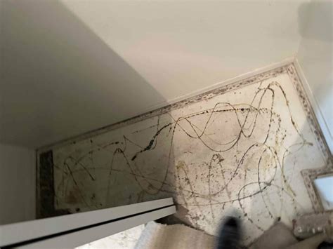 How To Remove Carpet Safely And Efficiently DustRam