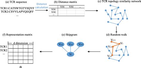 Figure 1 From Prediction Of Epitope Associated Tcr By Using Network Topological Similarity Based